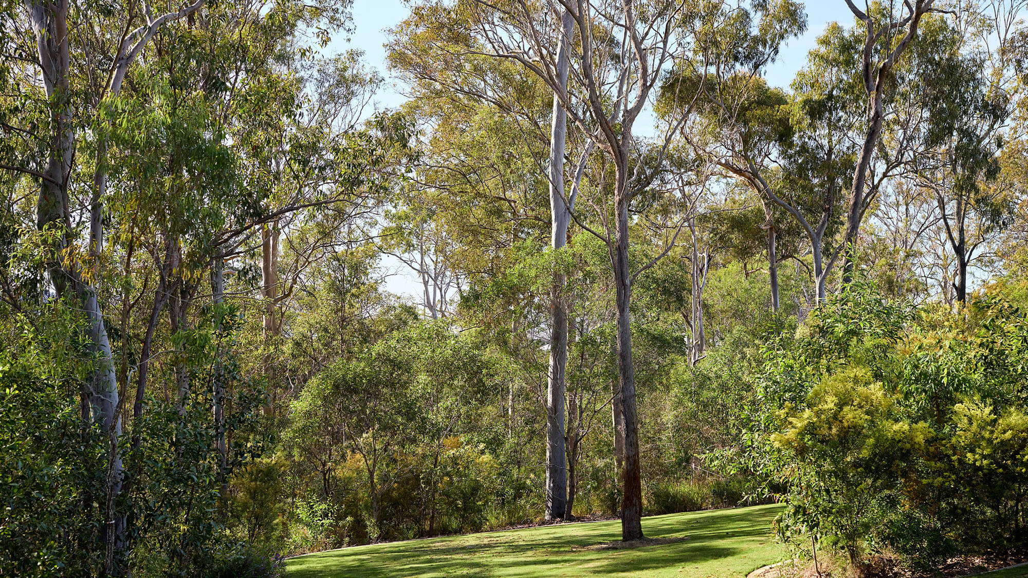 New Land Releases | Brookhaven QLD | Frasers Property Australia