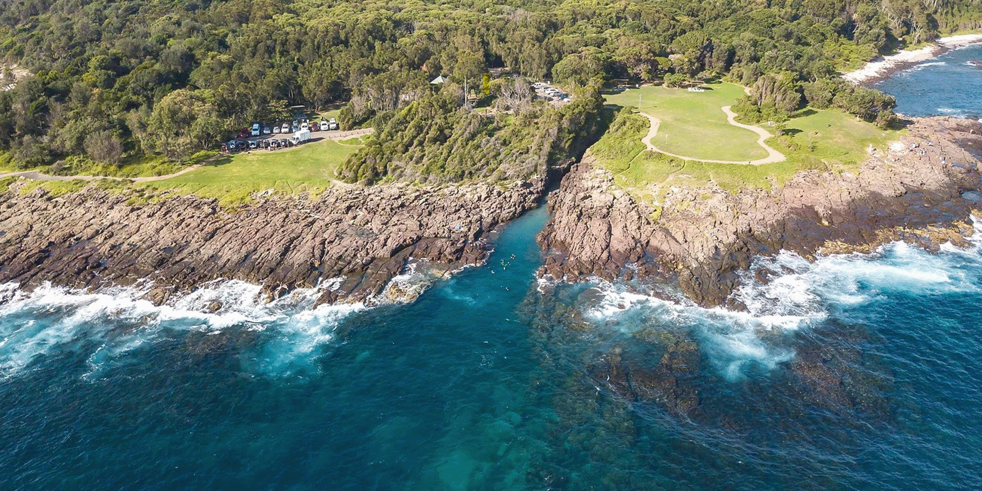 Scuba Dive and Snorkel Bass Point | The Waterfront Shell Cove NSW