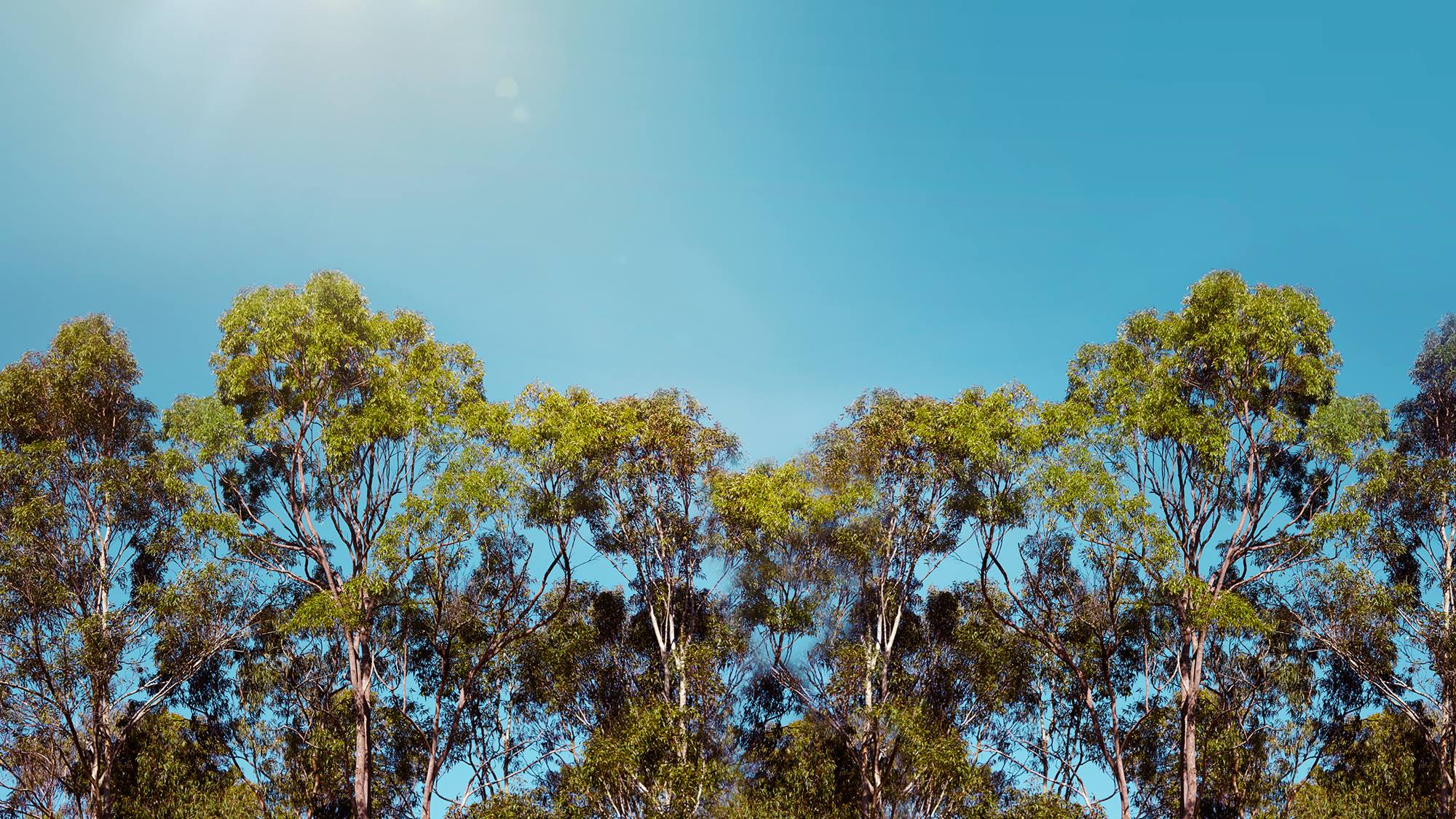 Brookhaven | QLD Frasers Property Australia