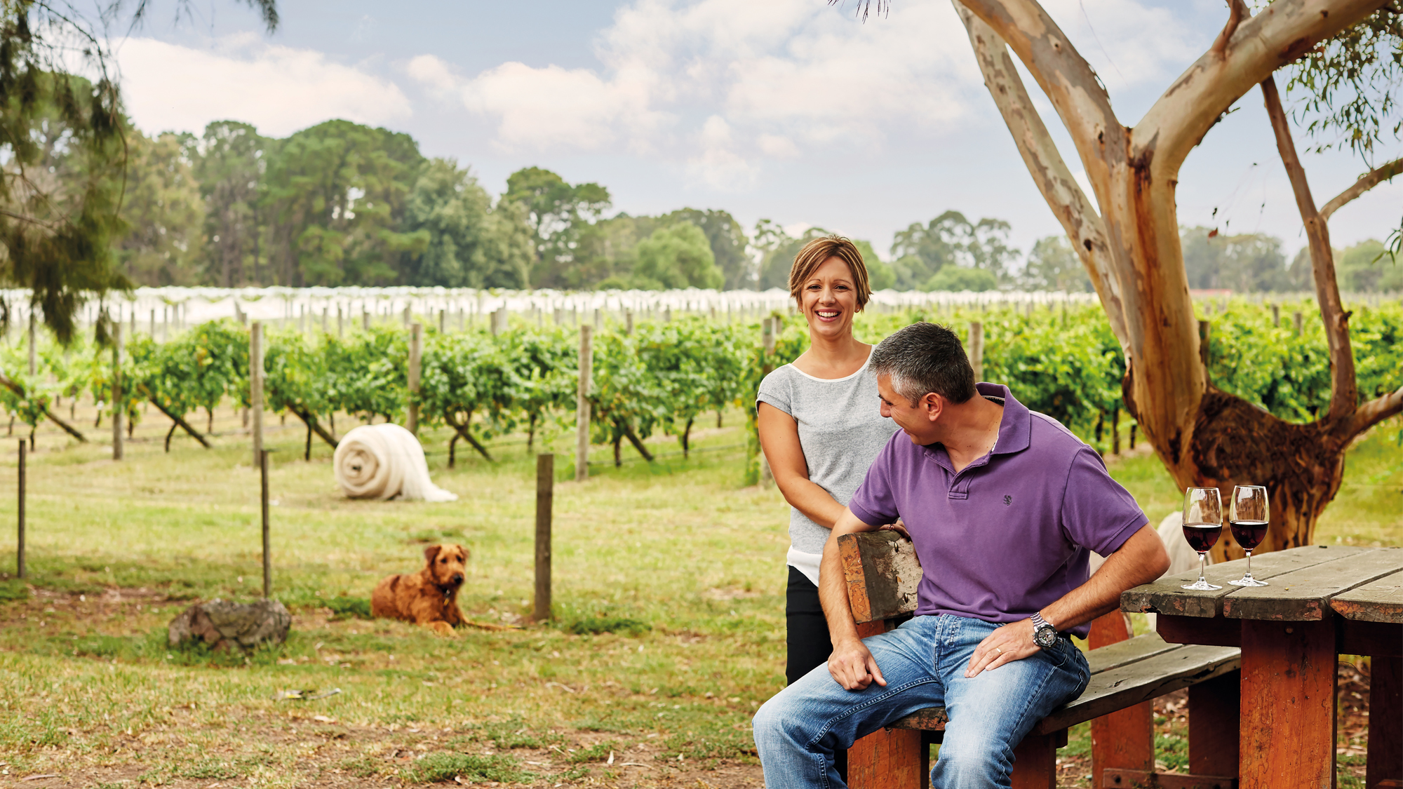 The Grove Estate in Tarneit VIC | Frasers Property Australia